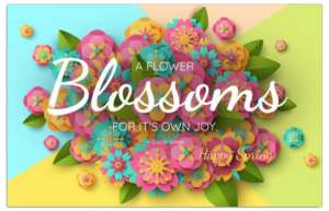 Understanding the Spring Seller—And Why It’s Key to Your Success | Real ...